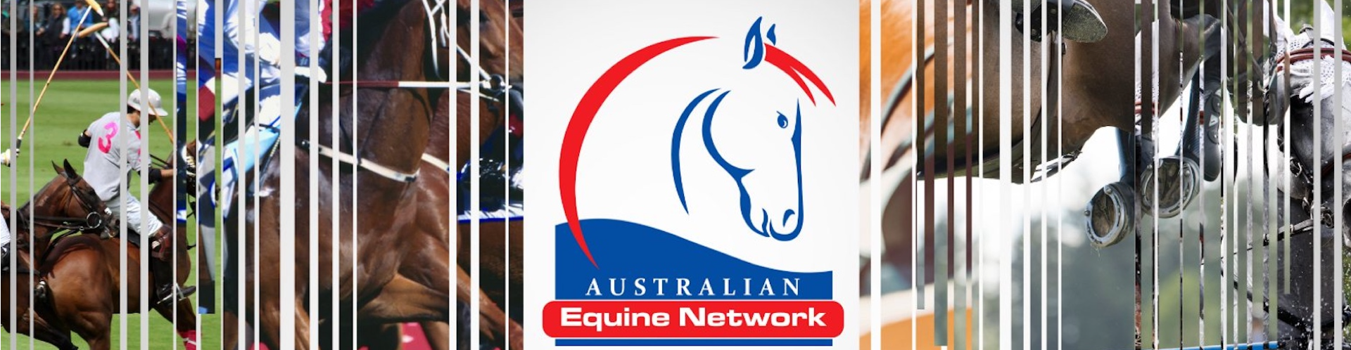 Australian Equine Network